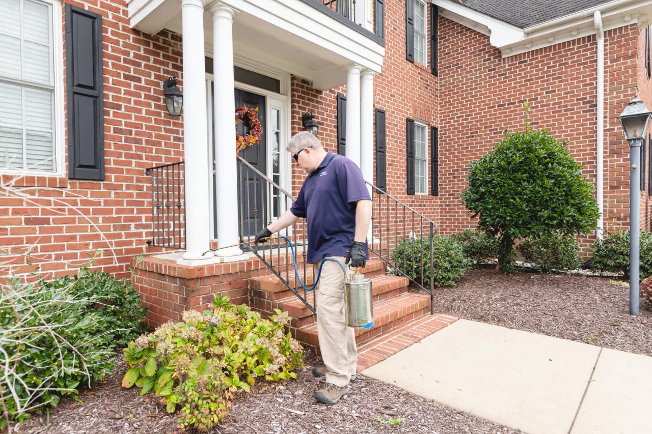 Pest Services - Southern Pest Control